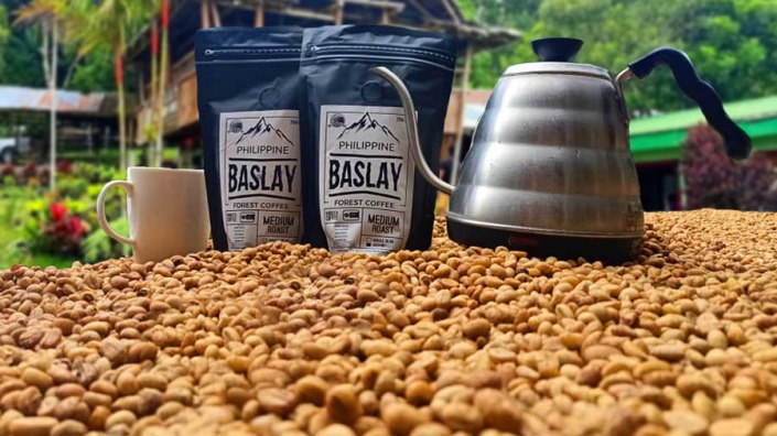 Negros Oriental - Tourist Spots - Wellbeach Dive Resort - Zamboanguita